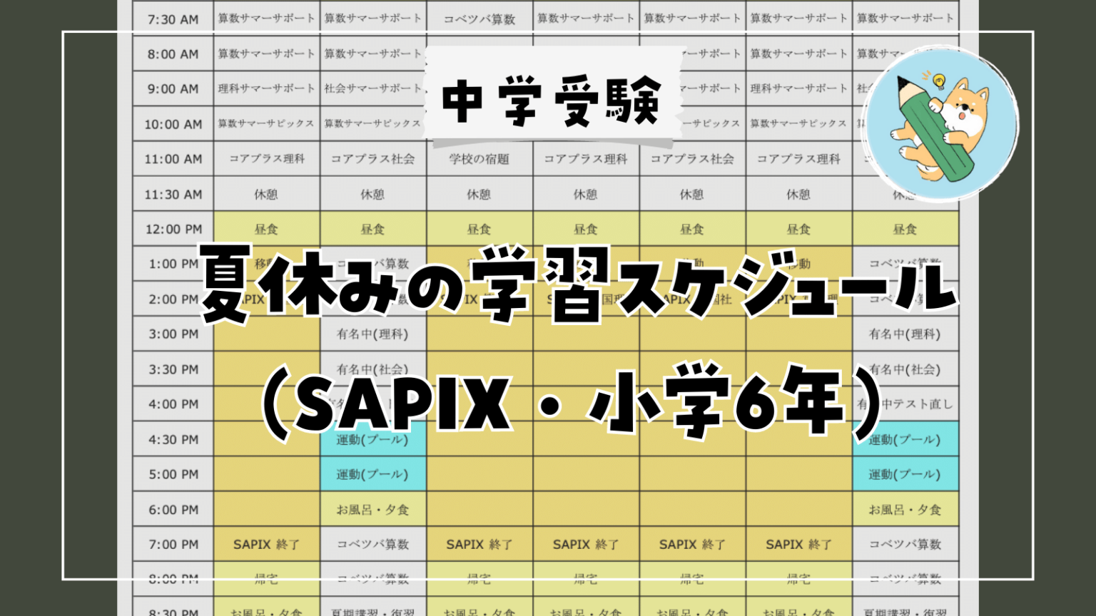 【中学受験】12月の学習スケジュール(SAPIX・6年生) | ポチたま中学受験