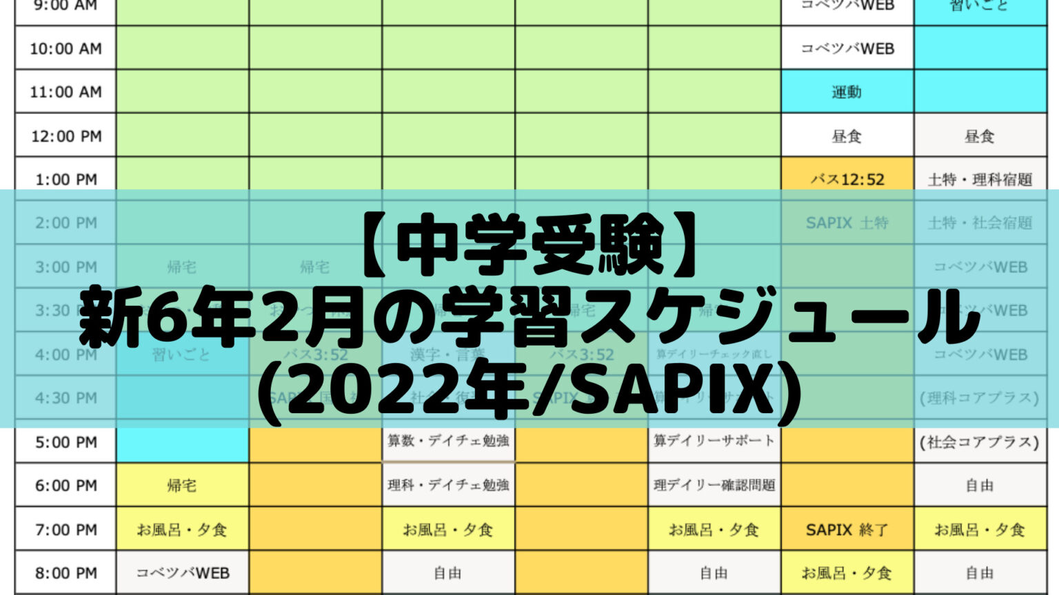 【中学受験】新6年2月の学習スケジュール(2022年/SAPIX) | ポチたま中学受験