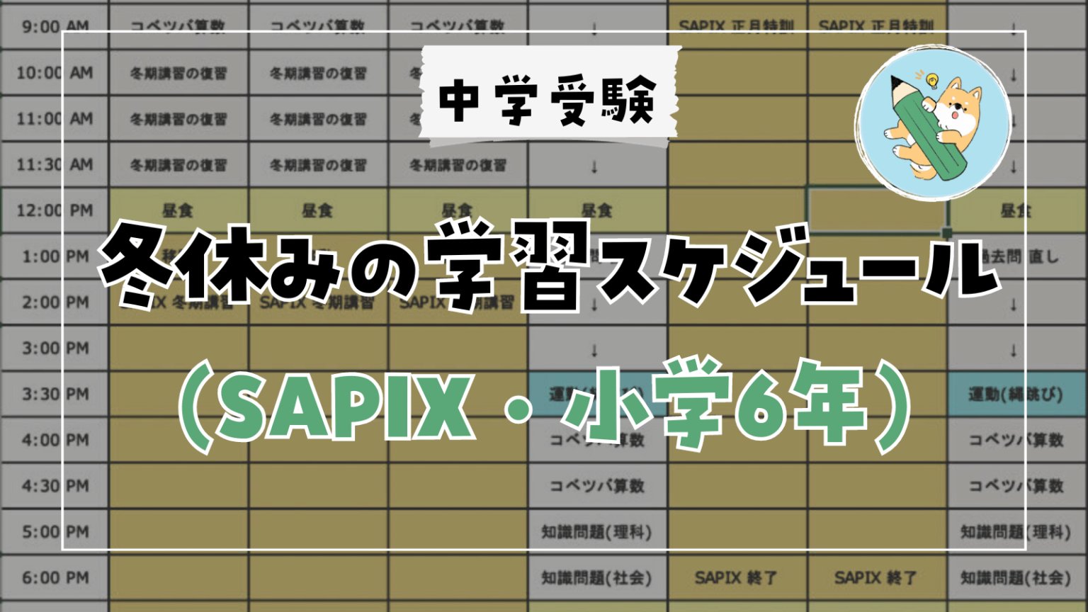 【中学受験】冬休みの学習スケジュール(6年/SAPIX) | ポチたま中学受験